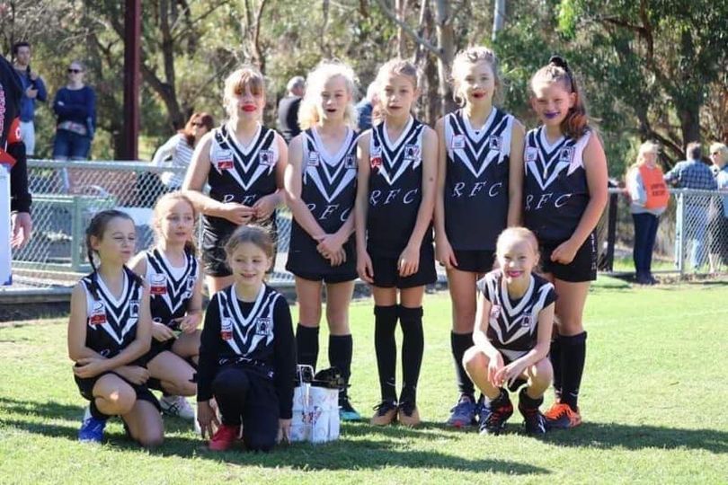 The Web News – ringwoodfnc